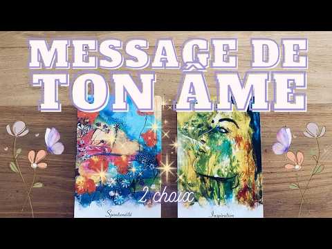 😇 TON ÂME À UN MESSAGE POUR TOI  (2 choix)  Guidance Intuitive Intemporelle 🌈