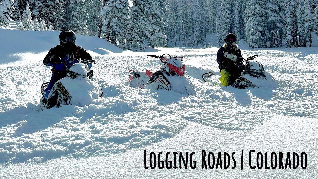 Logging Roads in November | Polaris RMK Boost Break-in! - YouTube