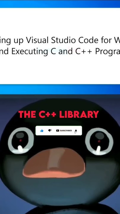 the python programmers vs C++ programmers in install library - YouTube