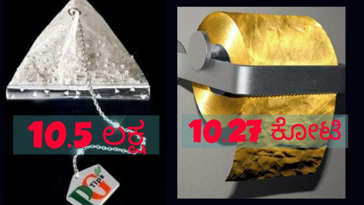 ಜಗತ್ತಿನಲ್ಲಿರುವ ಅನುಪಯುಕ್ತ ದುಬಾರಿ ವಸ್ತುಗಳು- Useless Expensive things in ...