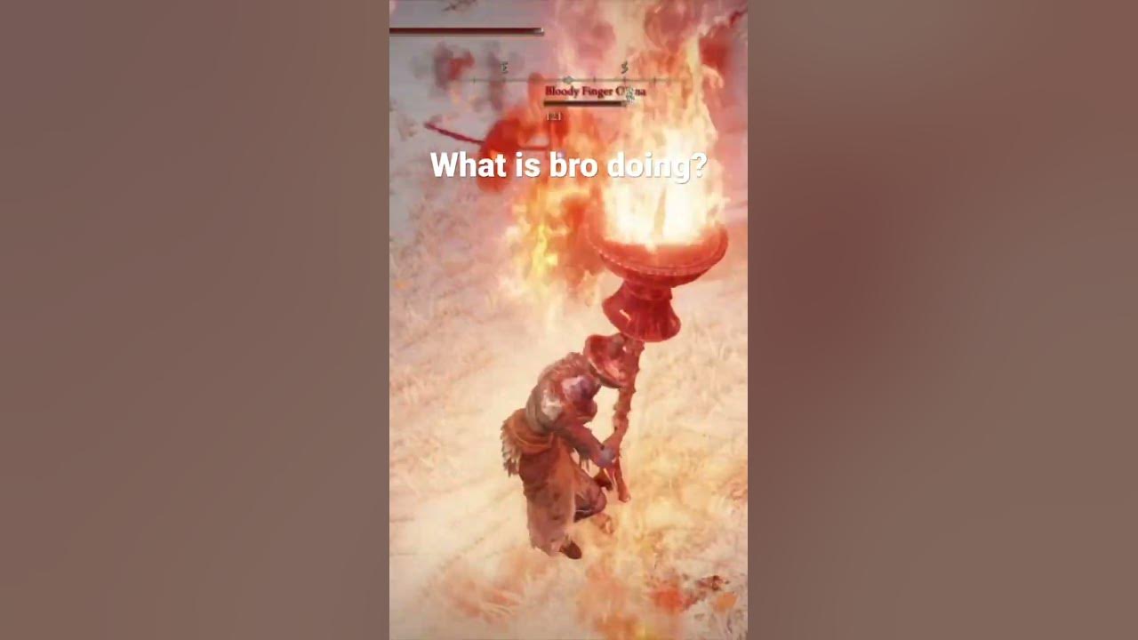 What Is Bro Doing YouTube what-is-bro-doing-youtube