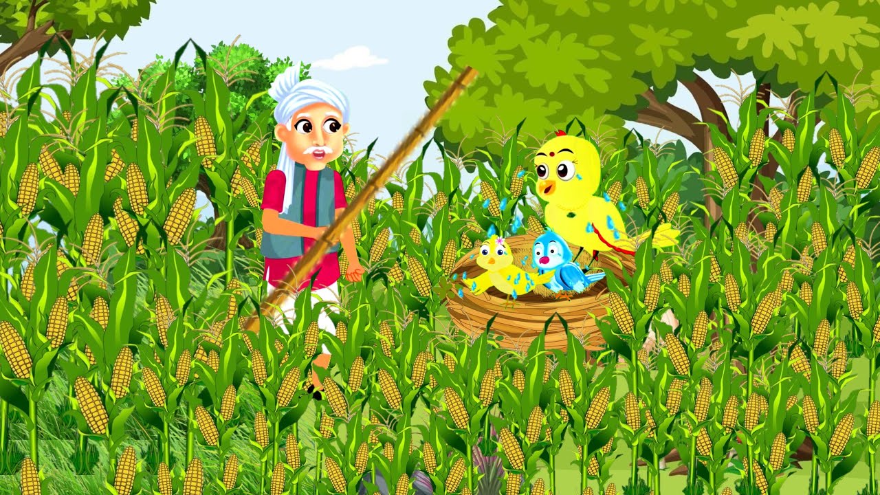 मकई के खेत में चिड़िया का घोसला | Tuni Chiriya Ka Ghosla | Cartoon ...