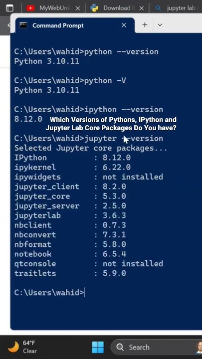 List Versions of Python, IPython and Jupyter Lab Core Packages Do You have? #shorts - YouTube