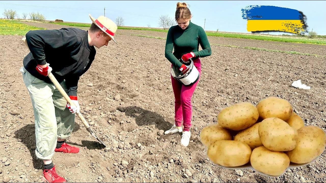 Planting Potato in Ukraine Part 1I One Day in Ukrainian Village - YouTube