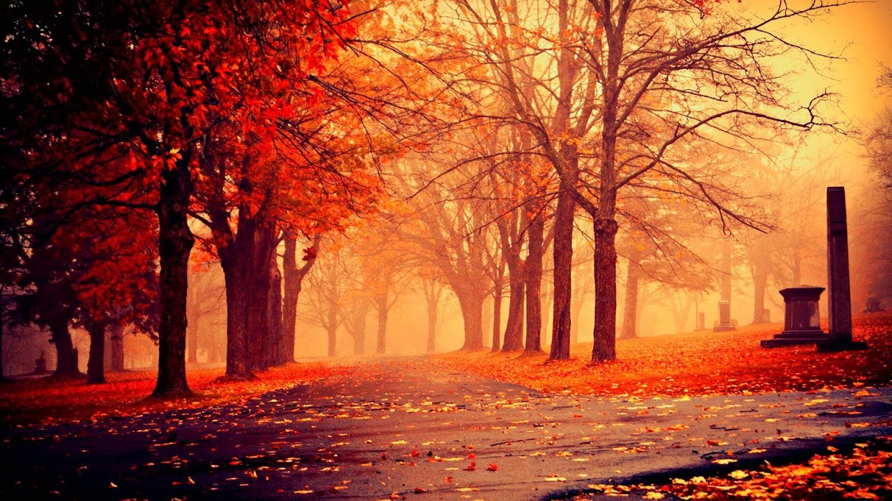 Spooky Autumn Music – Forest of Tombtree | Dark, Haunting - YouTube