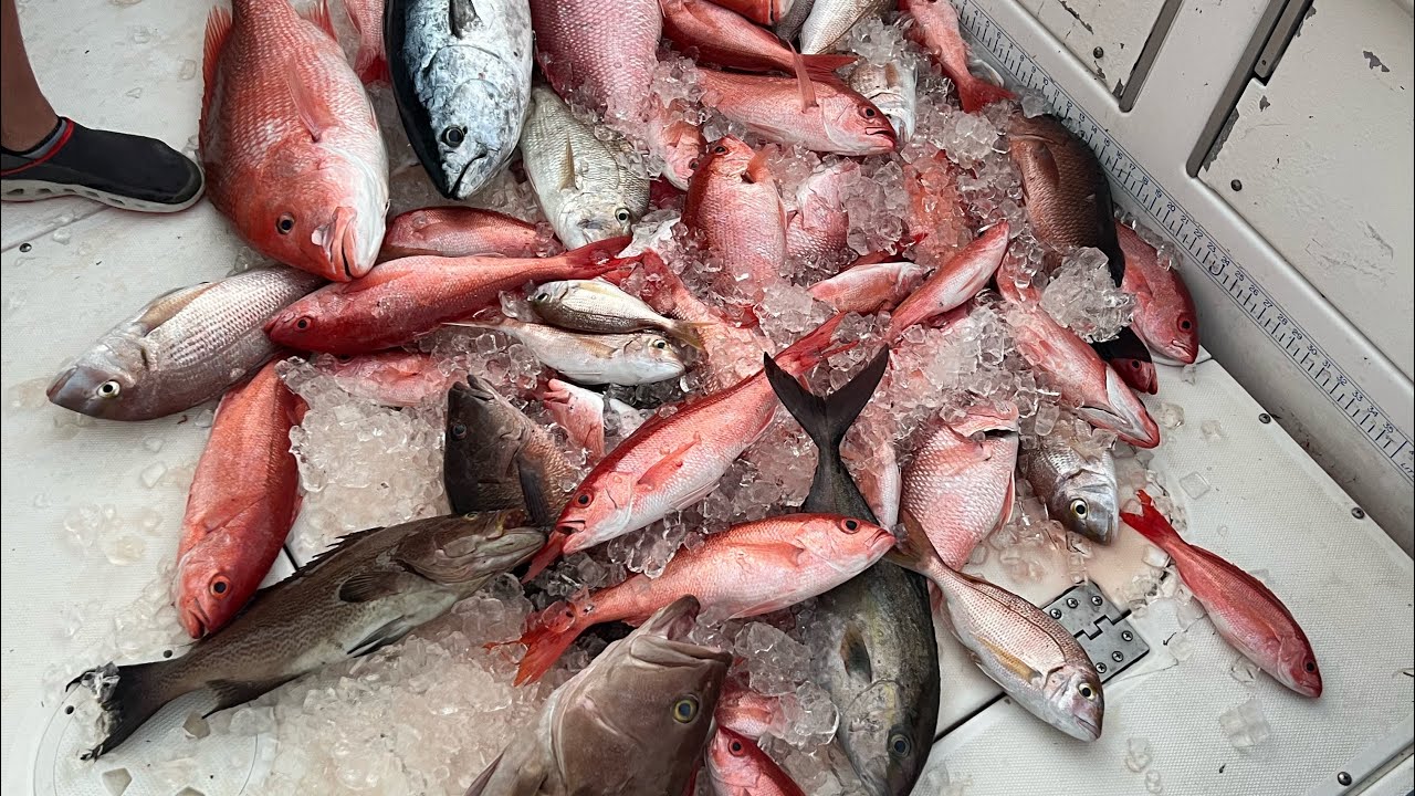 Filled the freezer! Caught fish for 12 straight hours on this epic day ...