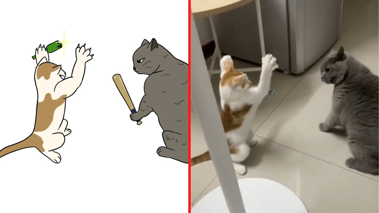 Cat Memes: Funniest Animals 2023 🤣 My drawings of meme cats (part 3) | Funny Cats 😂 Drawing ...