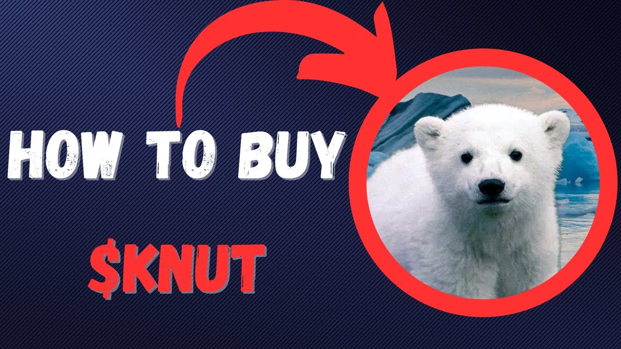 HOW TO BUY $KNUT Knut From Zoo IN 60 SECONDS - YouTube