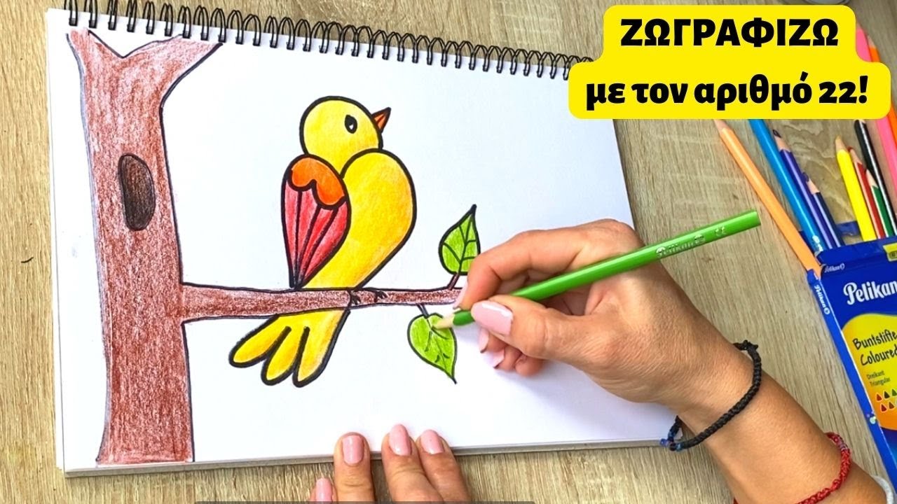 Πώς να σχεδιάσω ένα πουλάκι από τον αριθμό 22 / Σχεδιάζω Βήμα Βήμα ...