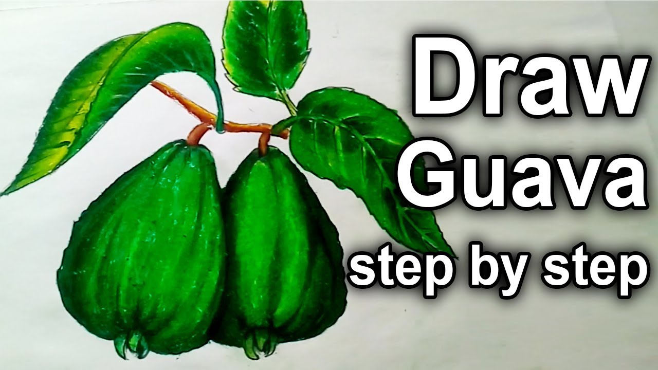 How to draw a guava step by step (very easy) - YouTube