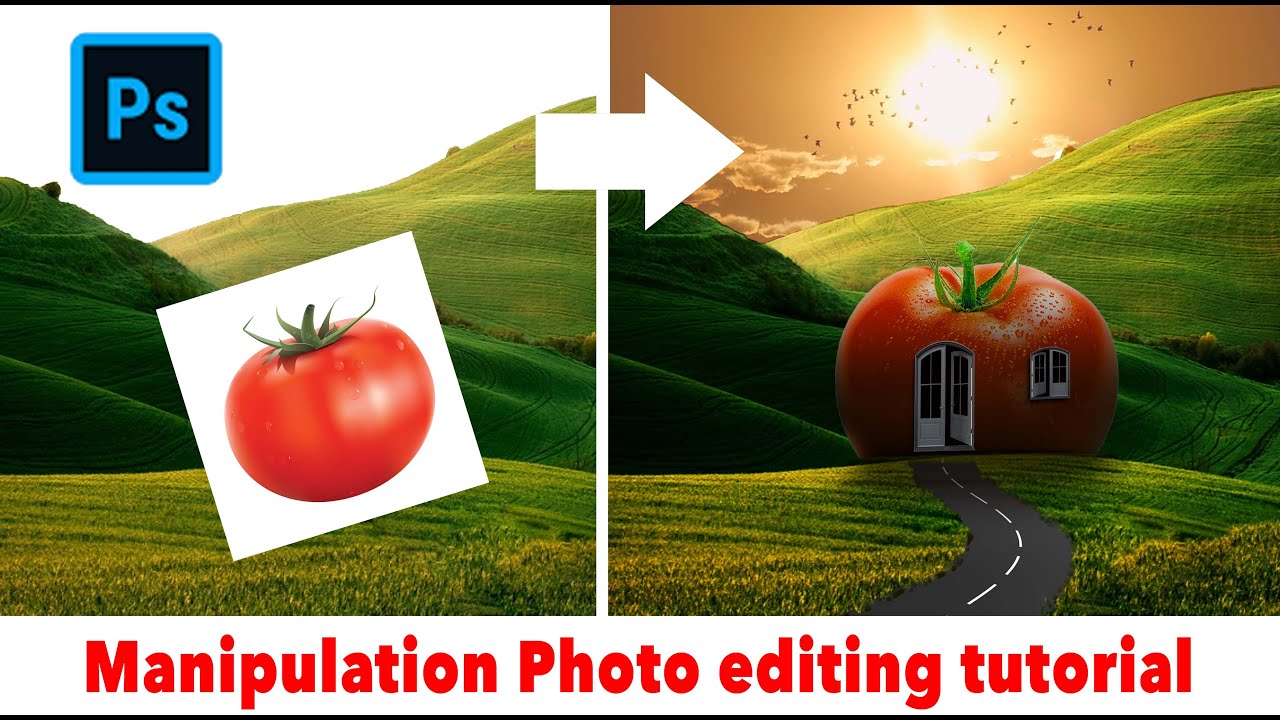 Tomato Home Manipulation | Adobe Photoshop, Graphic Design, video ...