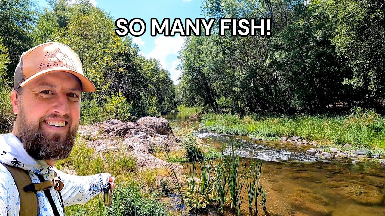 Tons of Bass & SURPRISE Species — Arizona Small Creek Fly Fishing - YouTube
