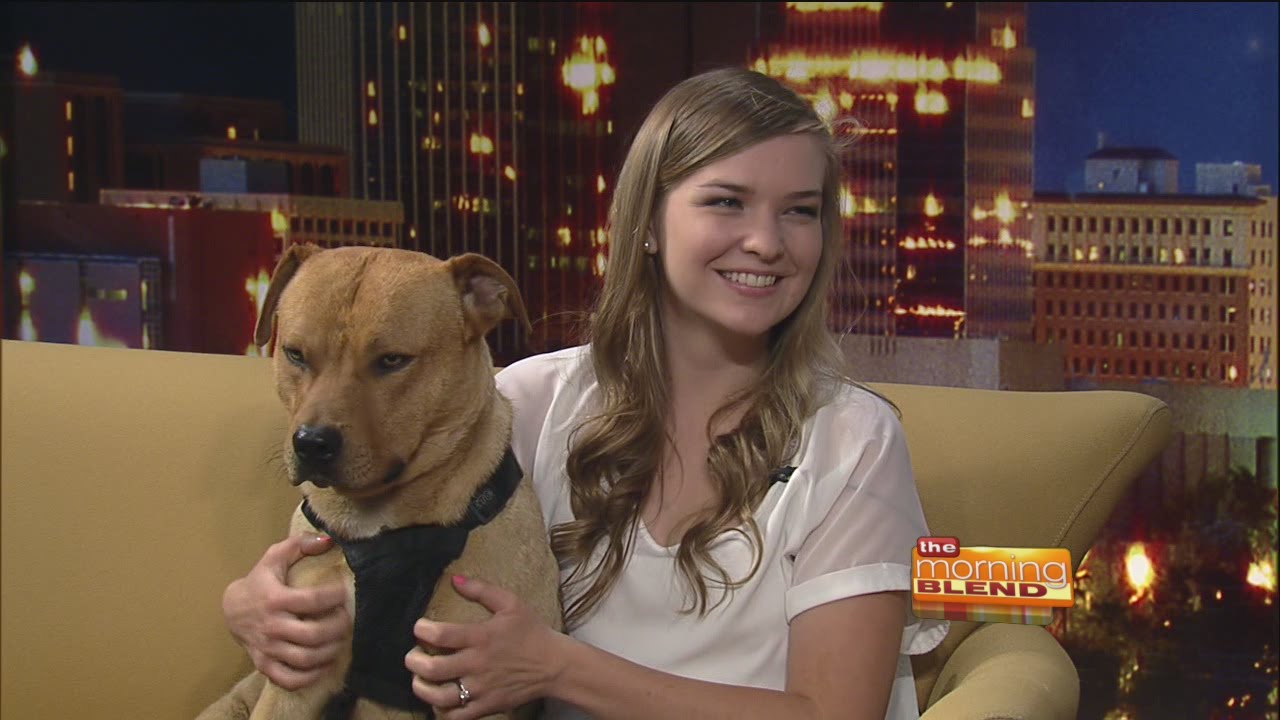 Humane Society Of Southern Arizona - Vacations with your pet - YouTube
