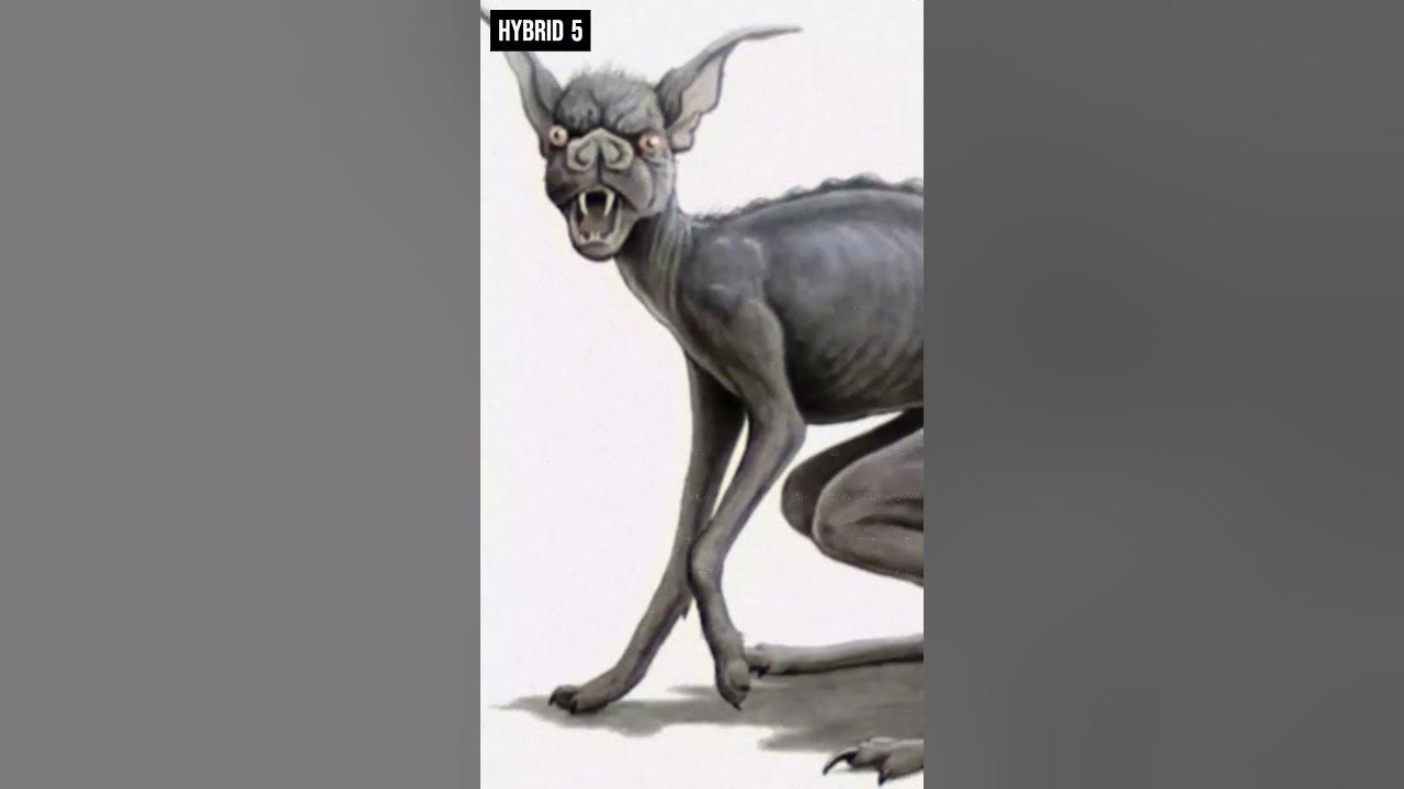 Chupacabra: Folklore, Legends, and the Elusive Cryptid. #chupacabra # ...