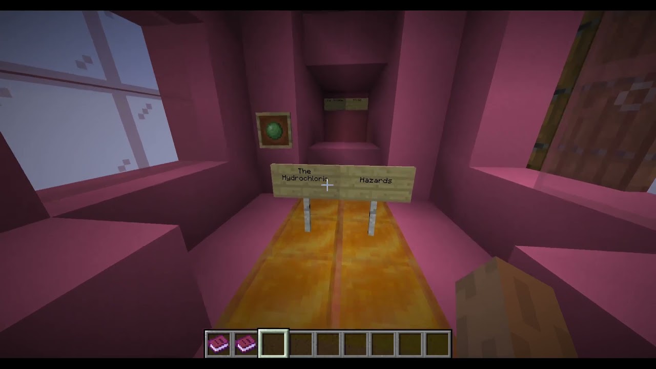 Minecraft Digestive System Project - YouTube