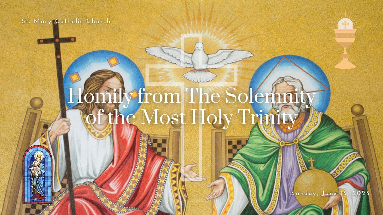 Homily from The Solemnity of the Most Holy Trinity - YouTube