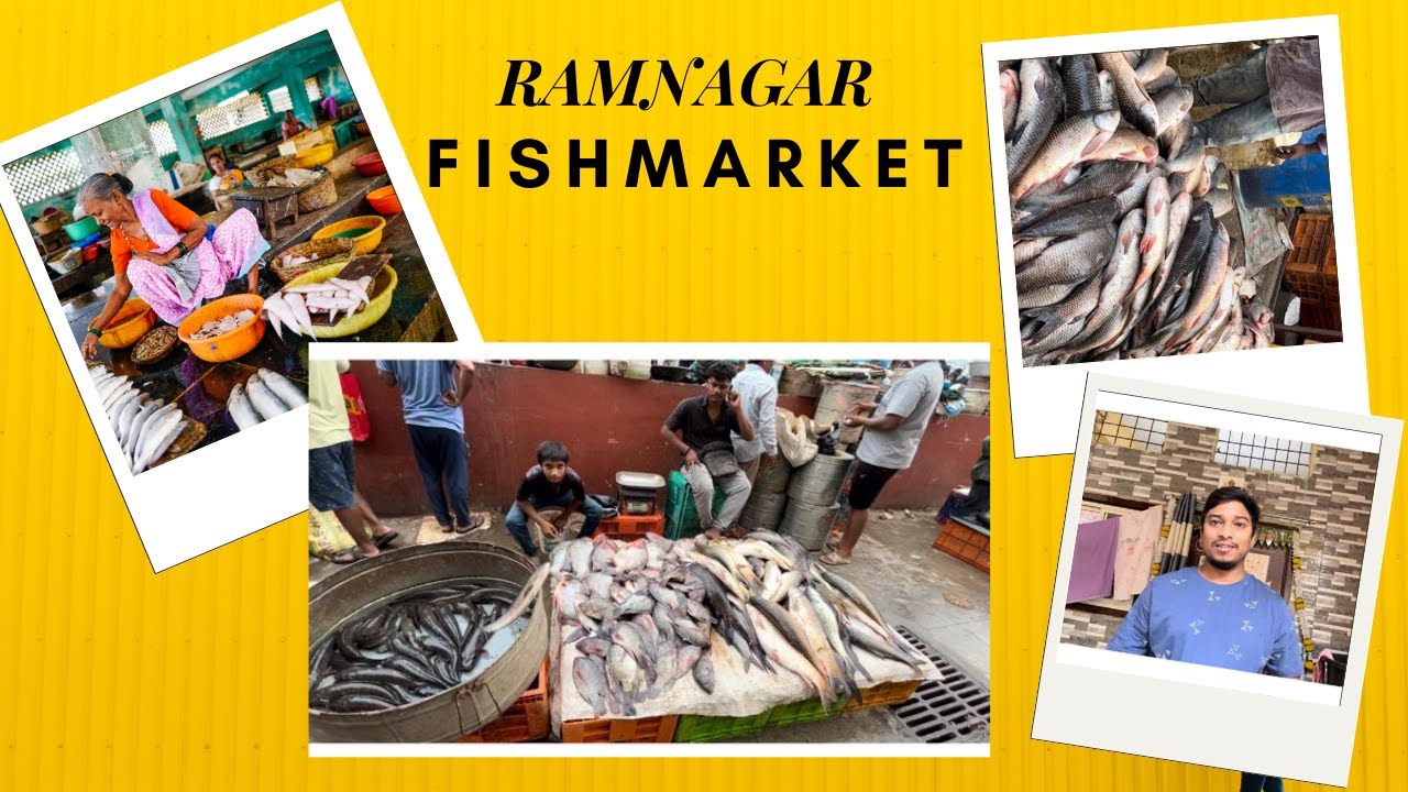 RAMNAGAR BIGGEST FISH MARKET IN HYDERABAD BIGGEST WHOLESALE MARKET IN ...