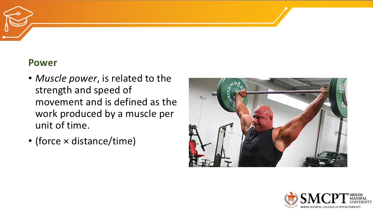 basics of muscle strengthening - YouTube