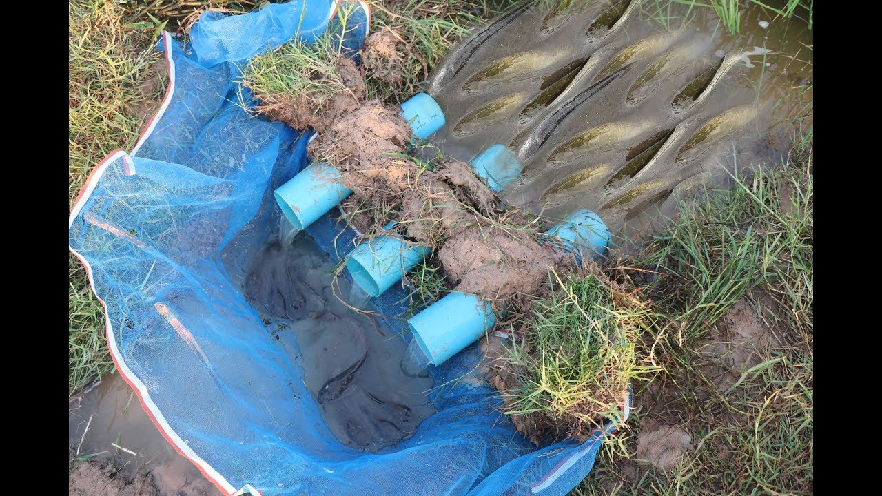 New idea Technique Of Catching - Believe This Fishing? Unique Fish ...