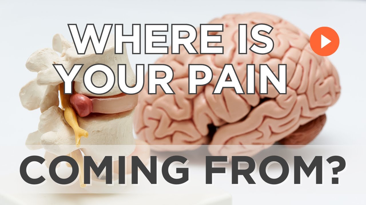 Where is Your Pain Coming From? | Pain Pathways, Perceived Injuries and ...