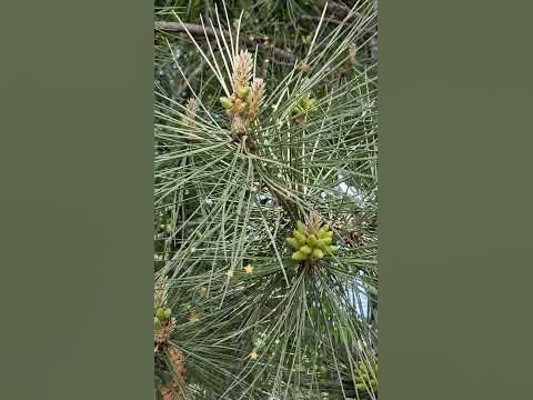 ️👉 Никогда не давайте эти вещи в долг - YouTube