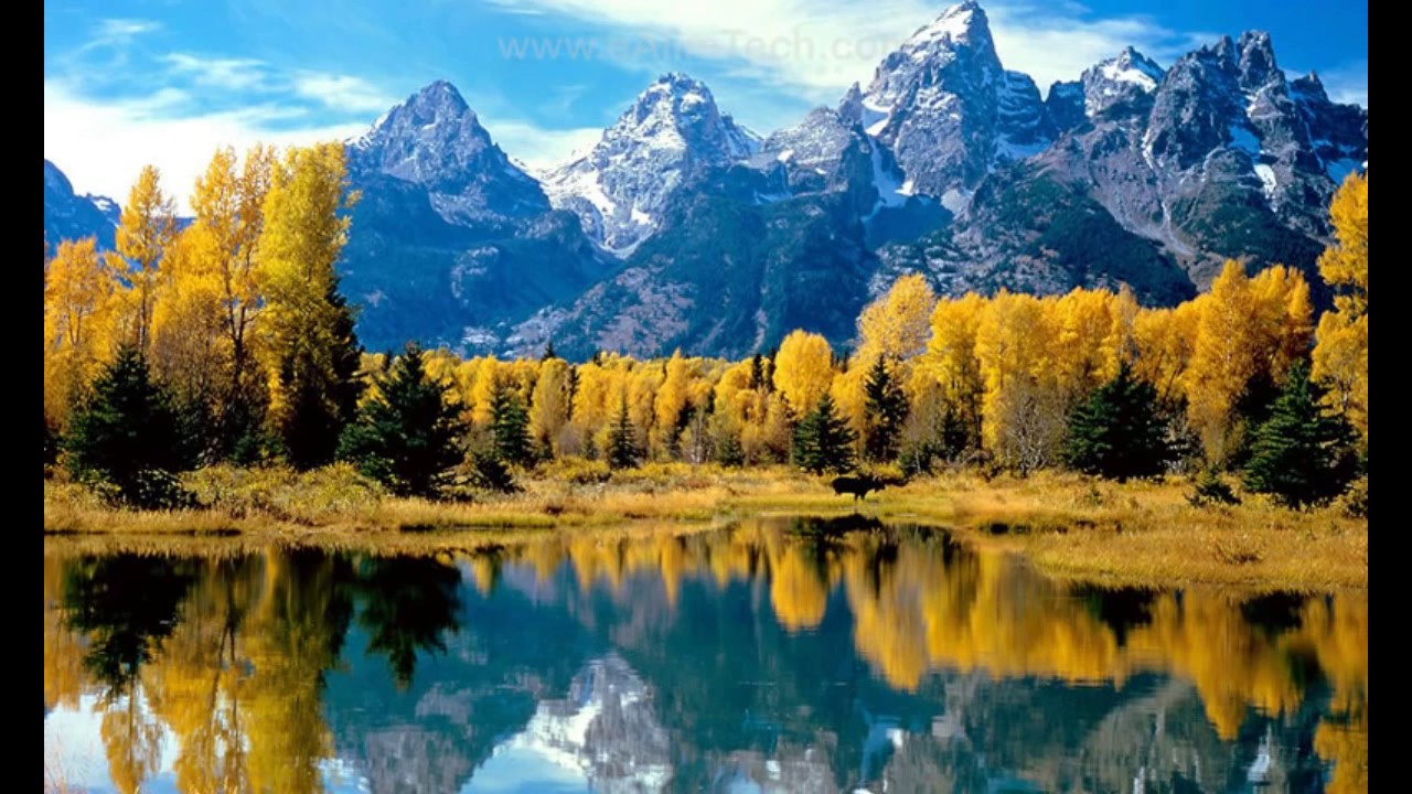 WHO IS ALLAH (S.W.T) by saif bin Shaik mujeeb - YouTube