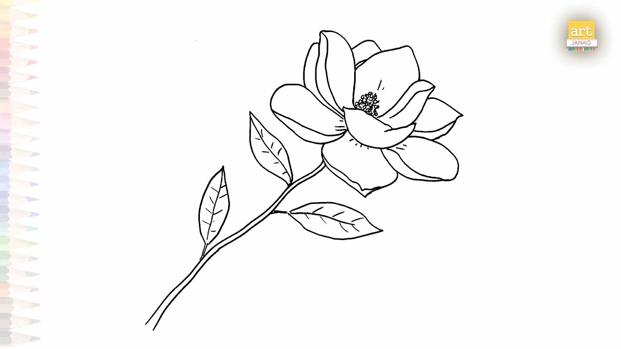Southern magnolia flower drawing easy | Outline sketches | How to draw ...