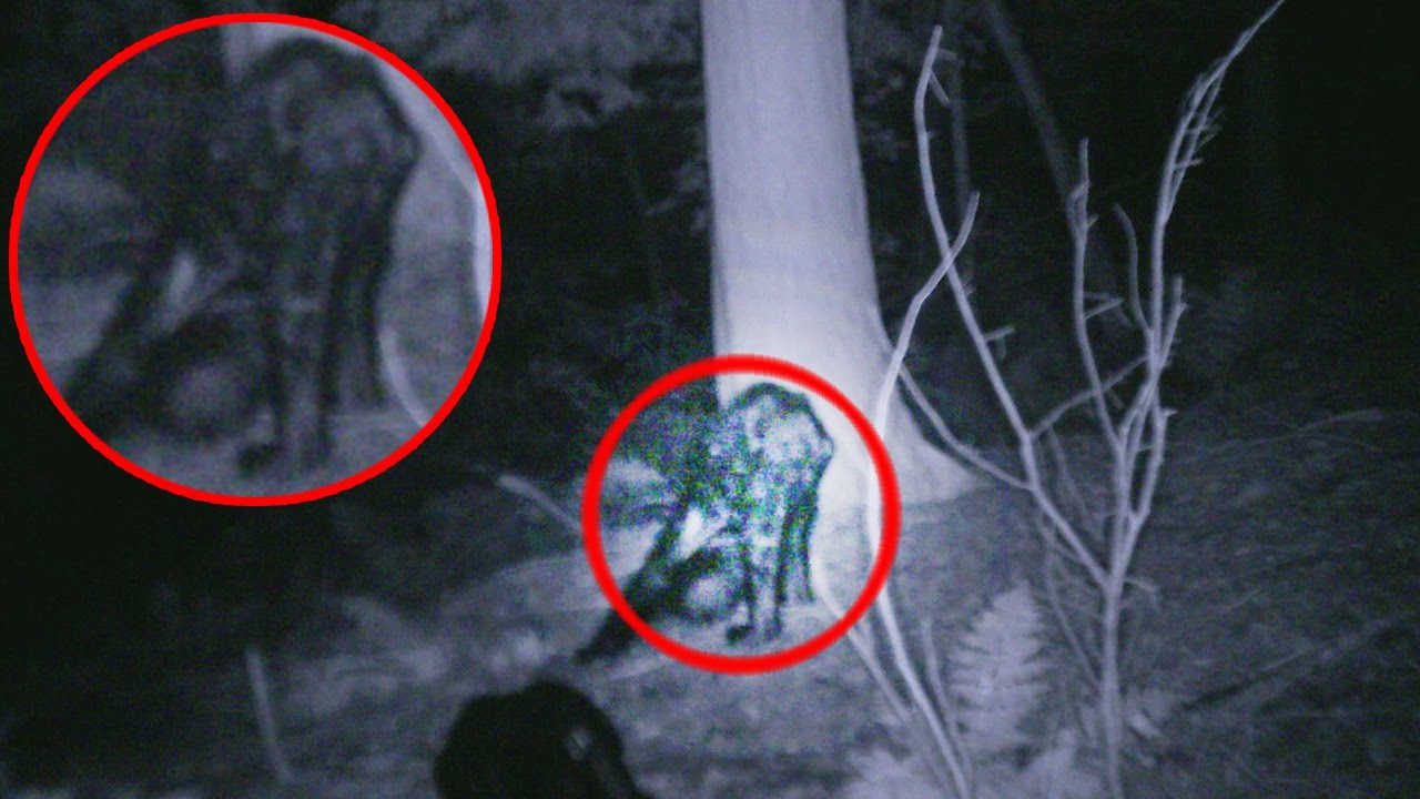 Top 10 Unidentified THINGS Caught on Camera || Pastimers - YouTube