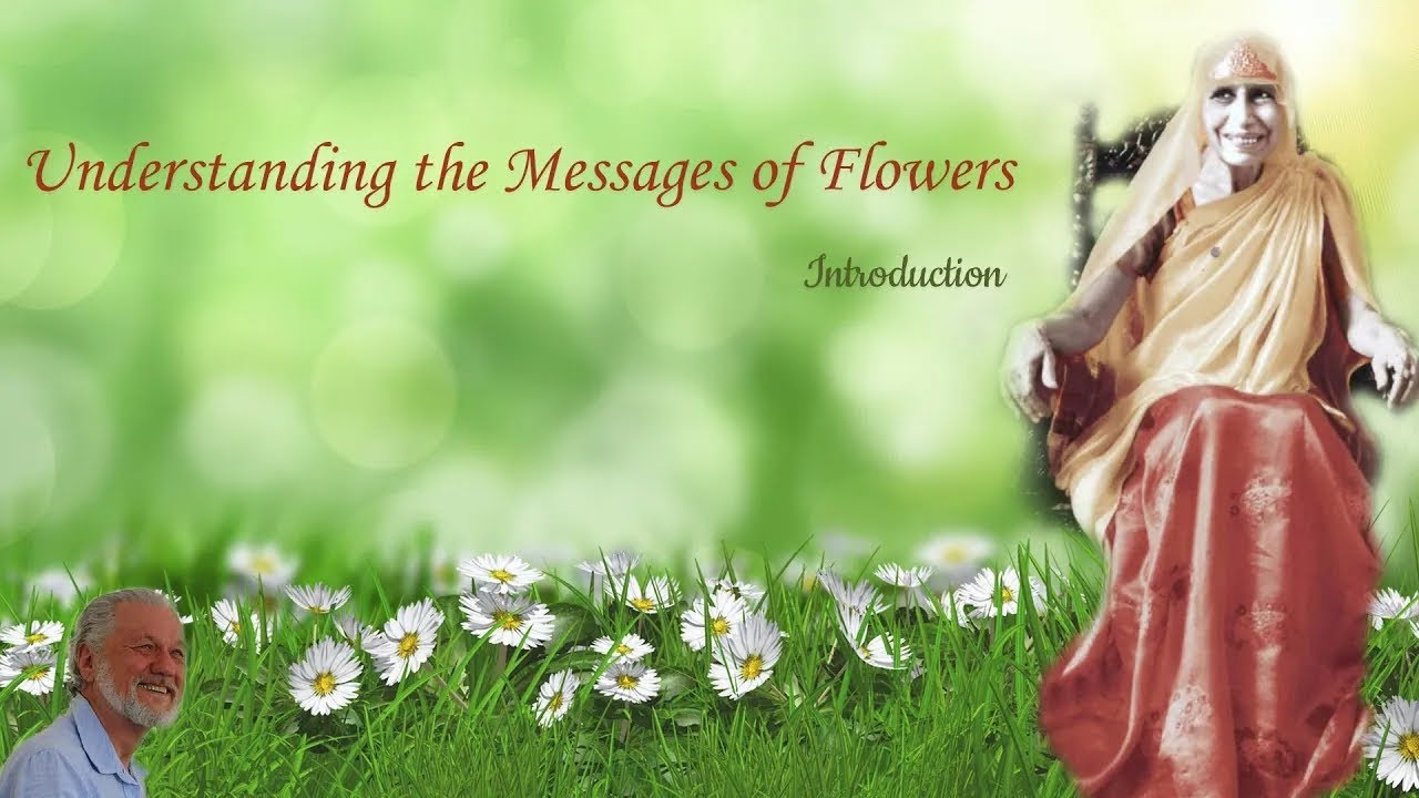 Understanding the Messages of Flowers - Introduction (by Narad) - YouTube