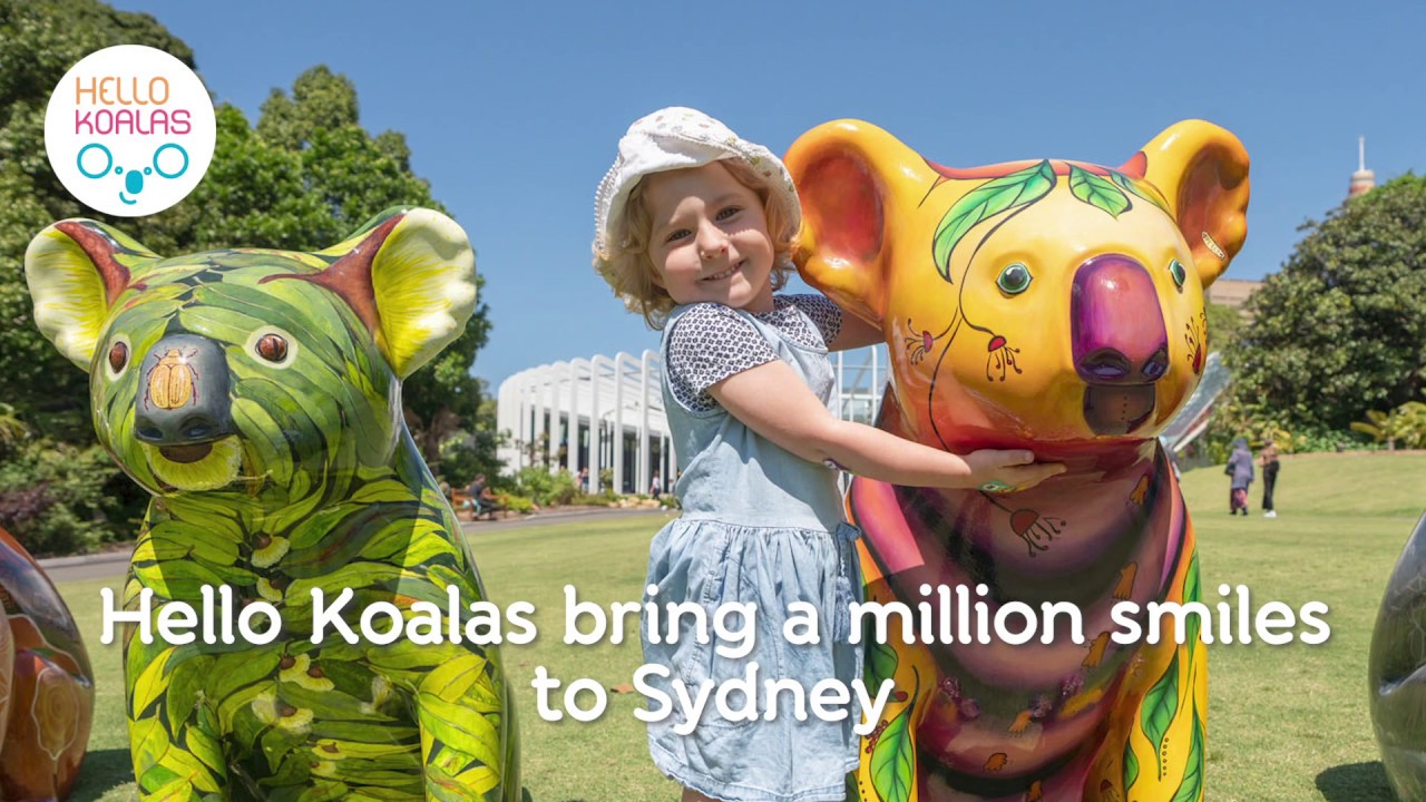 HELLO KOALAS BRING A MILLION SMILES TO SYDNEY - YouTube