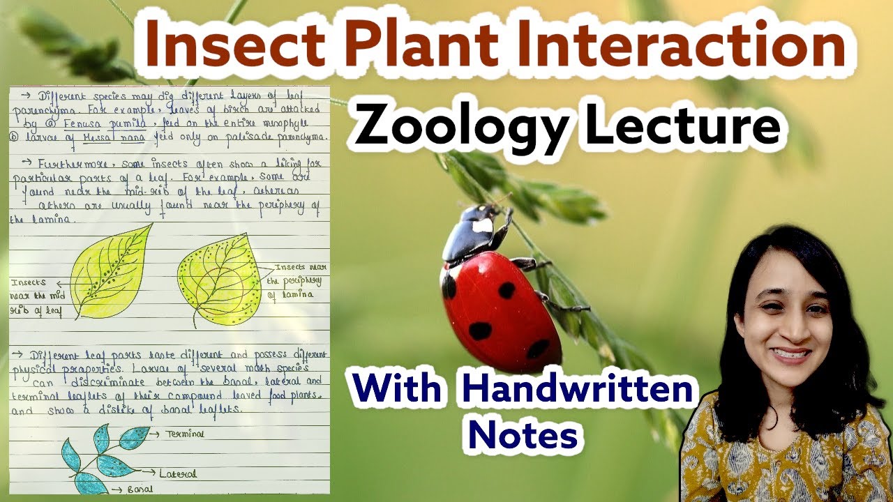 Insect Plant Interaction | Readymade handwritten notes for exam ...