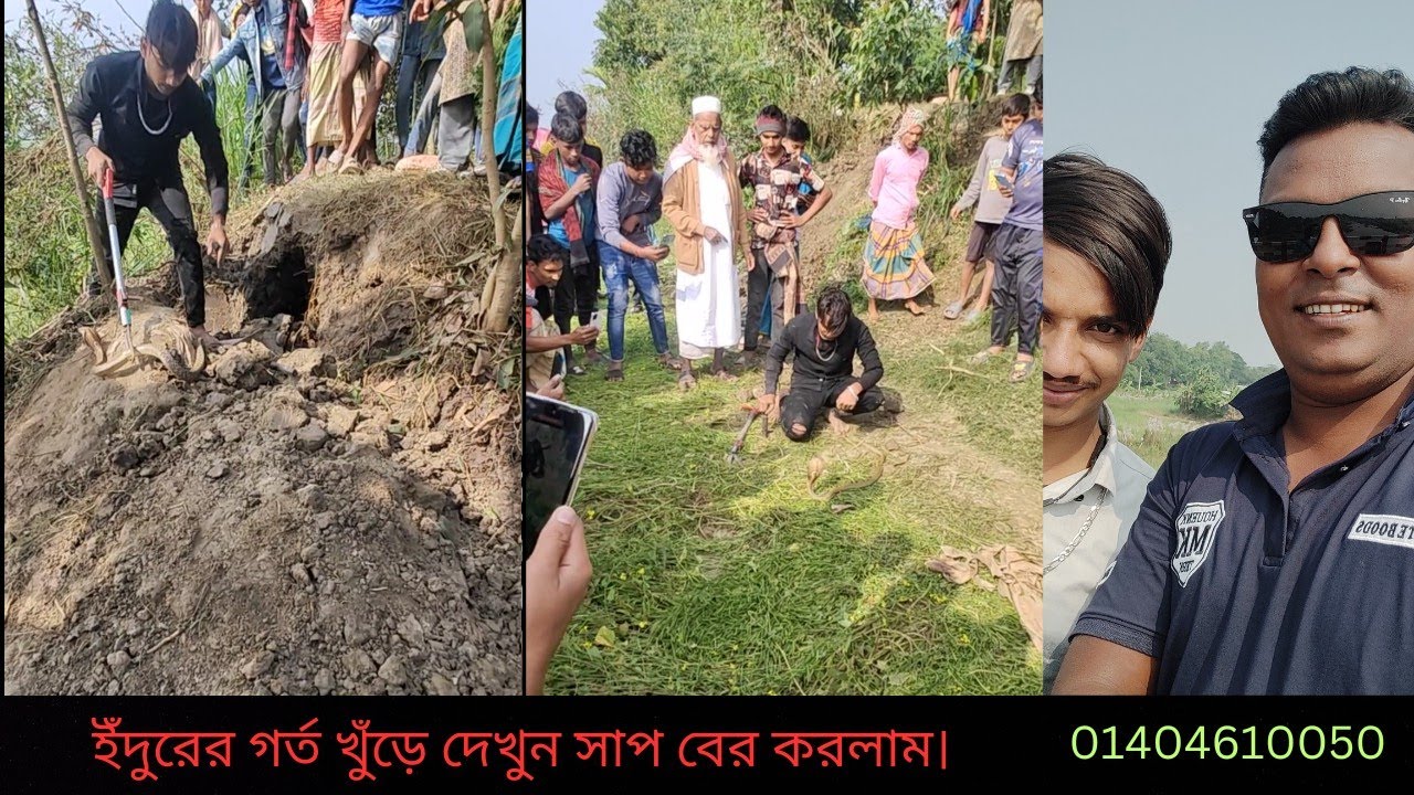 ইঁদুরের গর্ত খুঁড়ে দেখুন সাপ বের করলাম। - YouTube