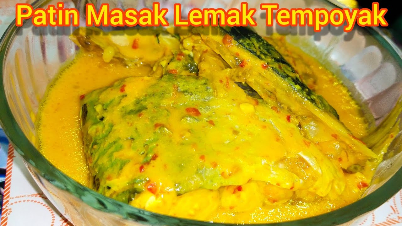 Patin Masak Lemak Tempoyak Tersedap😋 - YouTube