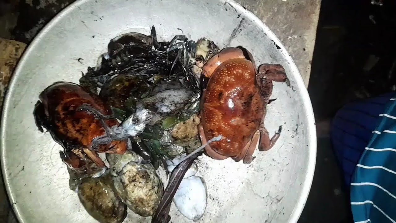 Paano manghuli ng pang ulam😯 - YouTube