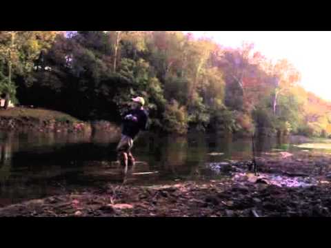 Big Ol' Carp - YouTube