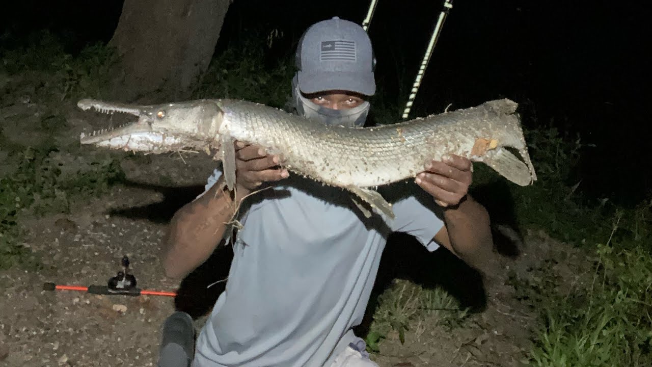 Savage fishing 2.O is live! - YouTube