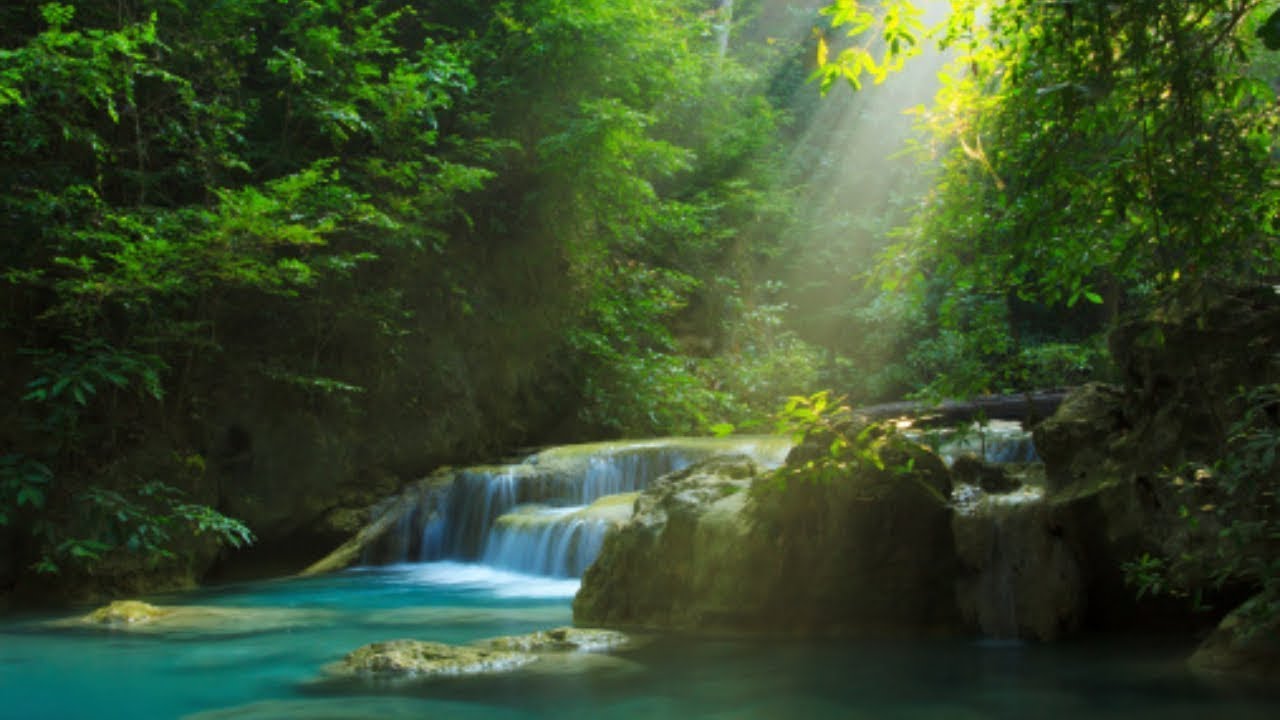 Feel the relaxation - copyright free music | copyright-free nature ...