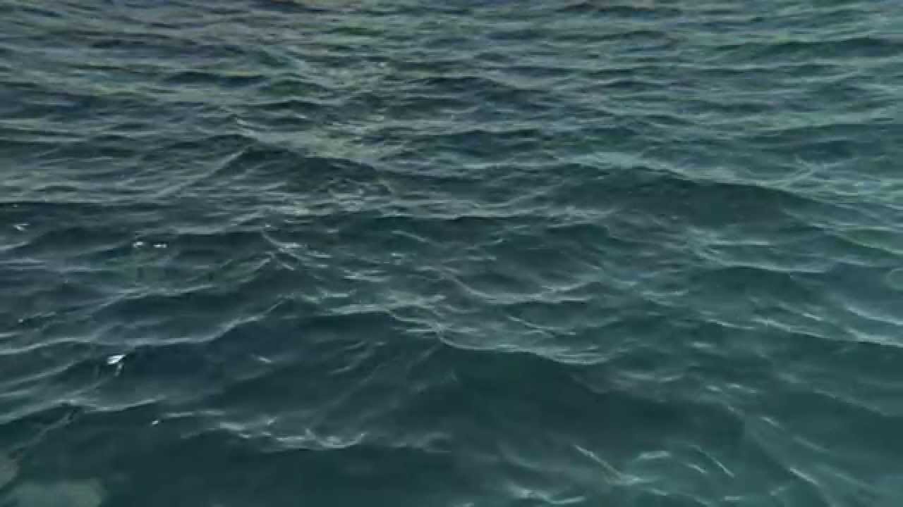 Maya Viewport 2.0 Ocean - YouTube