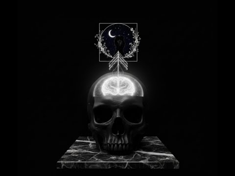 SHWARZ742 - AKLIMDA SEN VARSIN