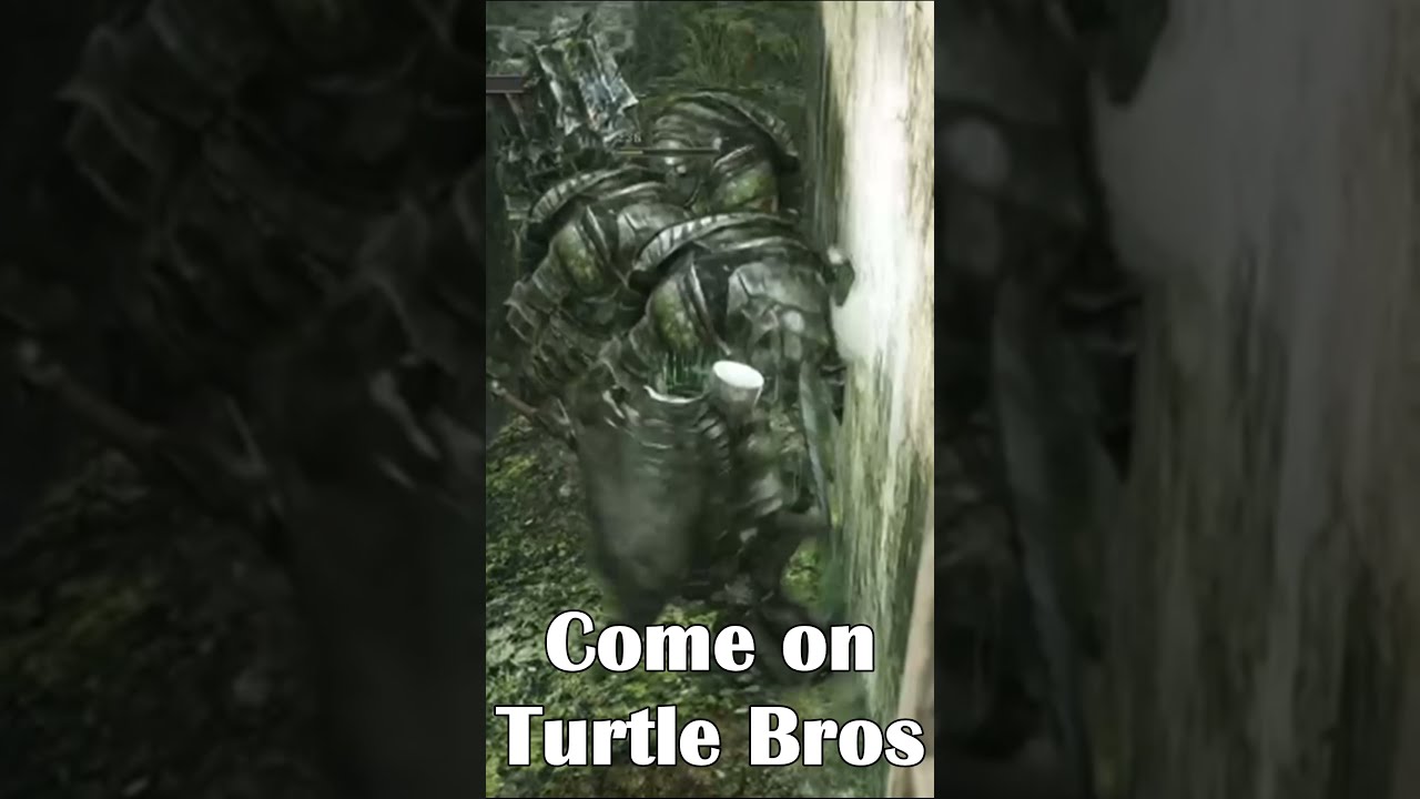 Dark Souls 2 Turtle Battle #shorts - YouTube