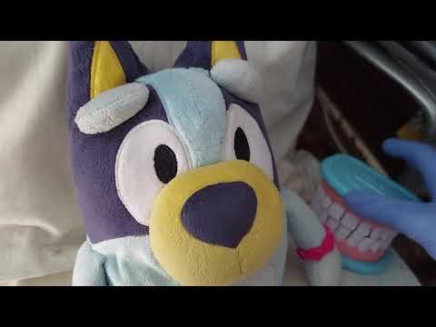 Bluey Breaks a Tooth! Bluey Goes to the Dentist - YouTube