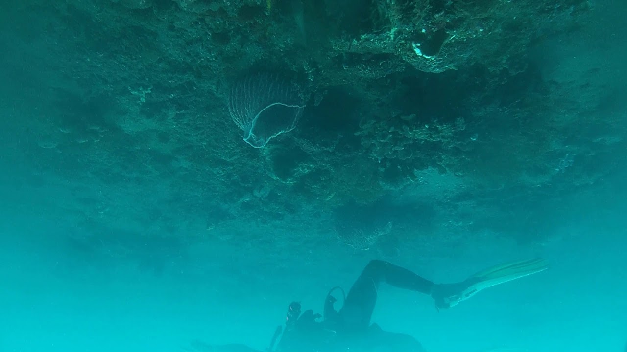 Amed Diving 6 - YouTube