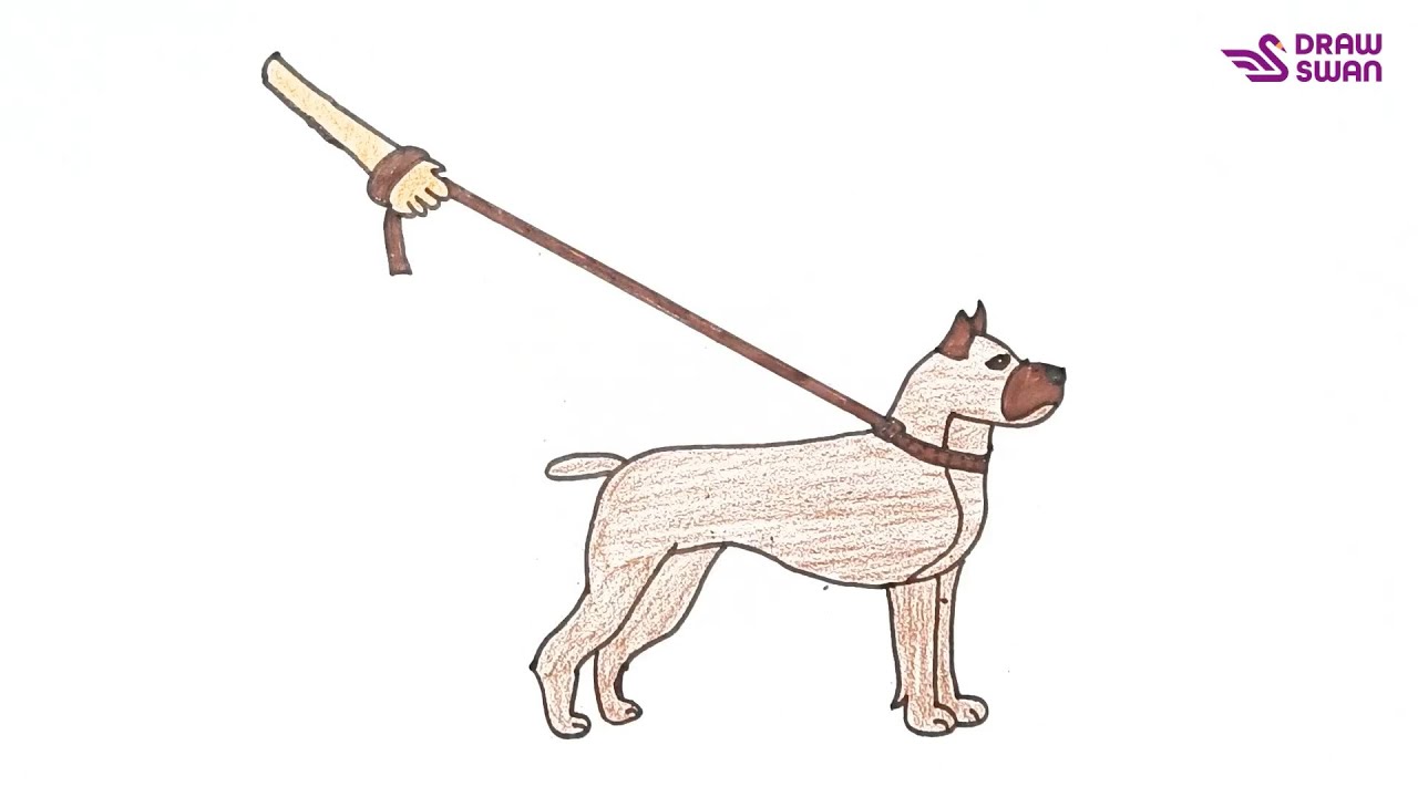 How to draw a dog leash - YouTube