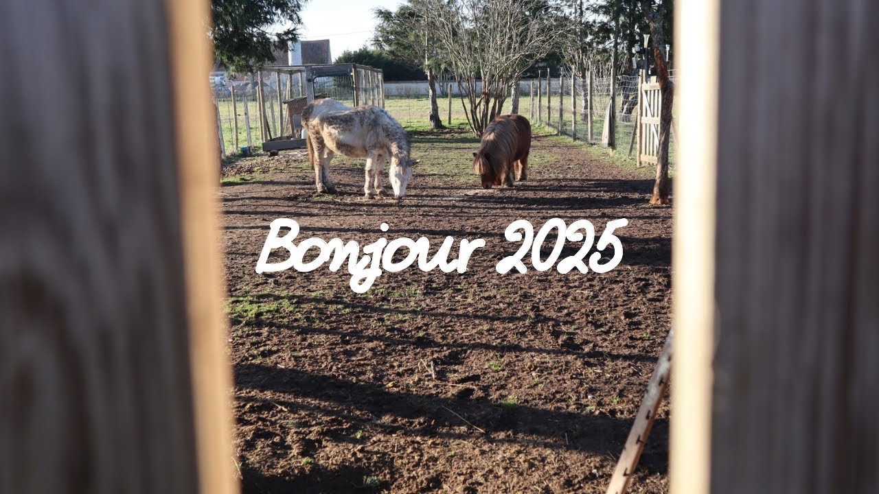 BONJOUR 2025 - YouTube