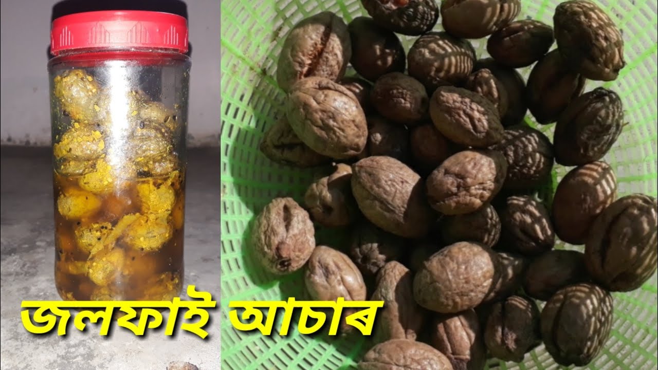 জলফাই আচাৰ / jolphai achar in assamese recipe/olive pickle . - YouTube