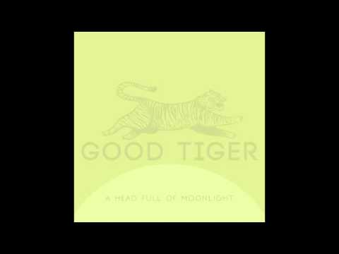 Good Tiger - Aspirations