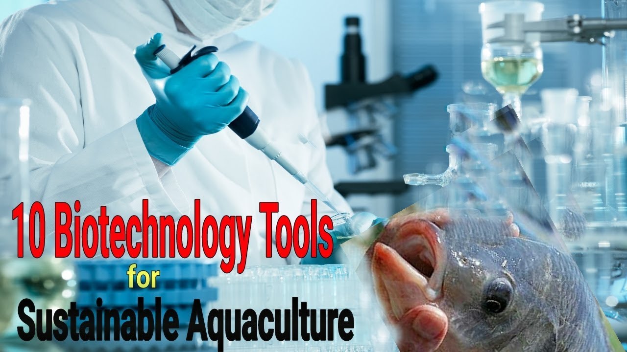 Top 10 Biotechnology Tools for Sustainable Aquaculture - YouTube