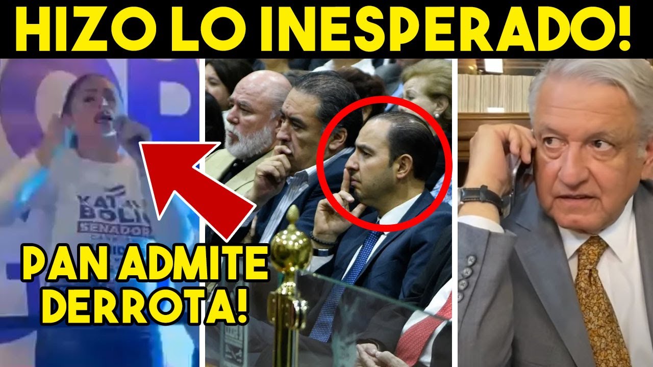 ULTIMO MINUTO! SALE PANISTA CONFIESA, ADMITE DERROTA EN VIVO. RETO AL ...
