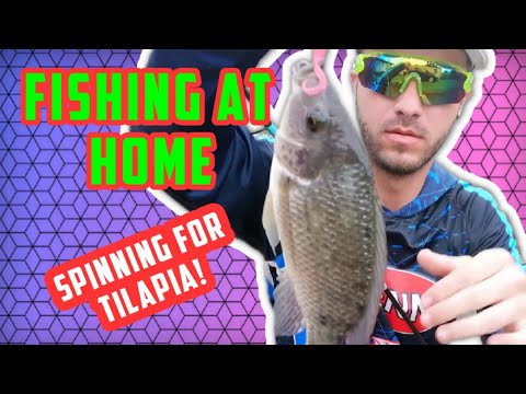 Fishing in my pool! 😎 - YouTube