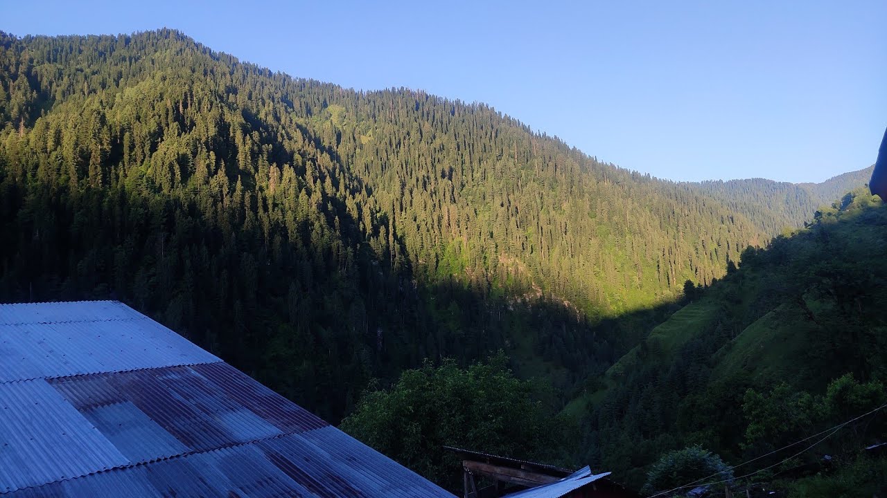 Morning 🌅 view 👀 at my home 🏡 🌻 what a beautiful day 💞 - YouTube